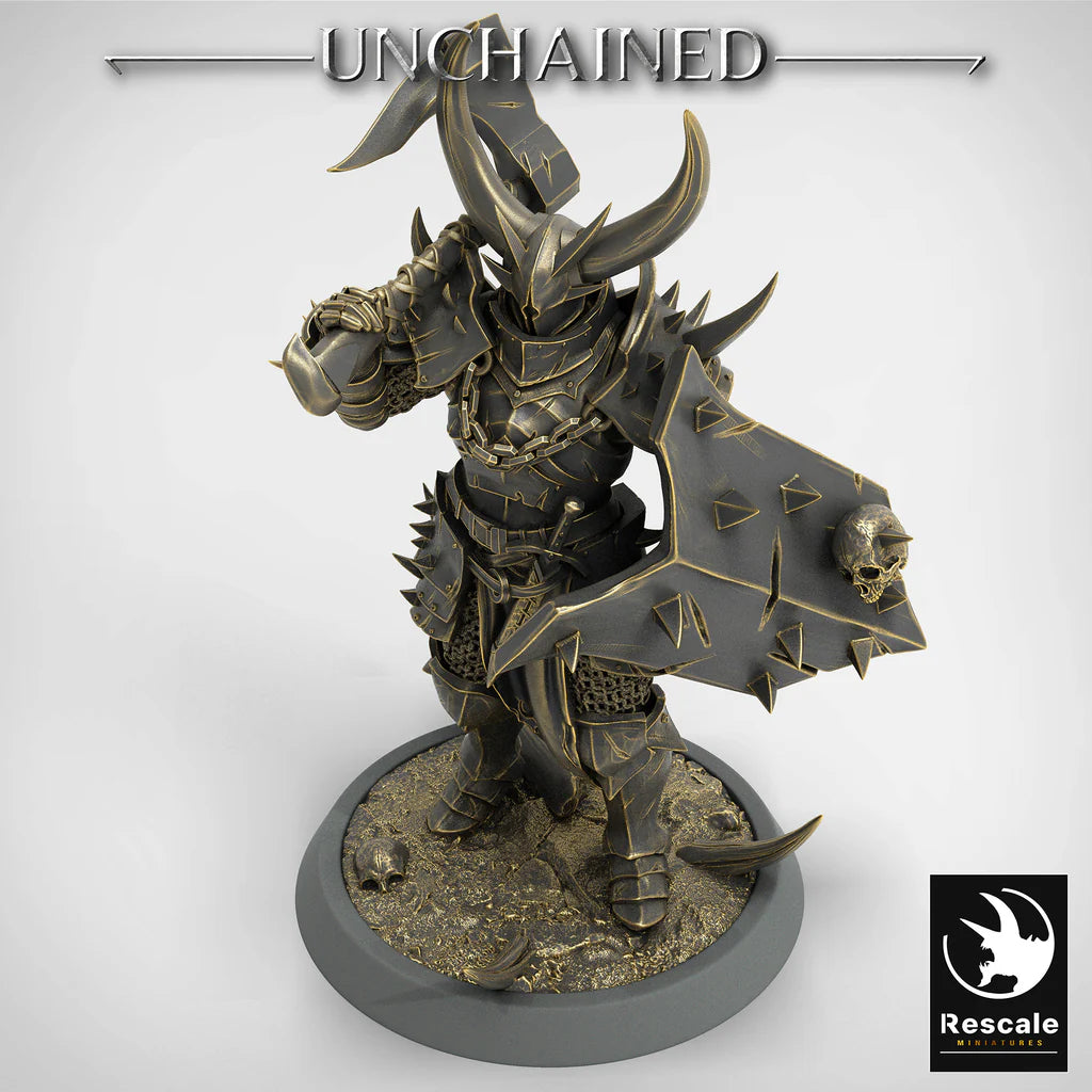 Olaf's Light Soldier with Axe and Shield - Chief - Unchained - Rescale ...