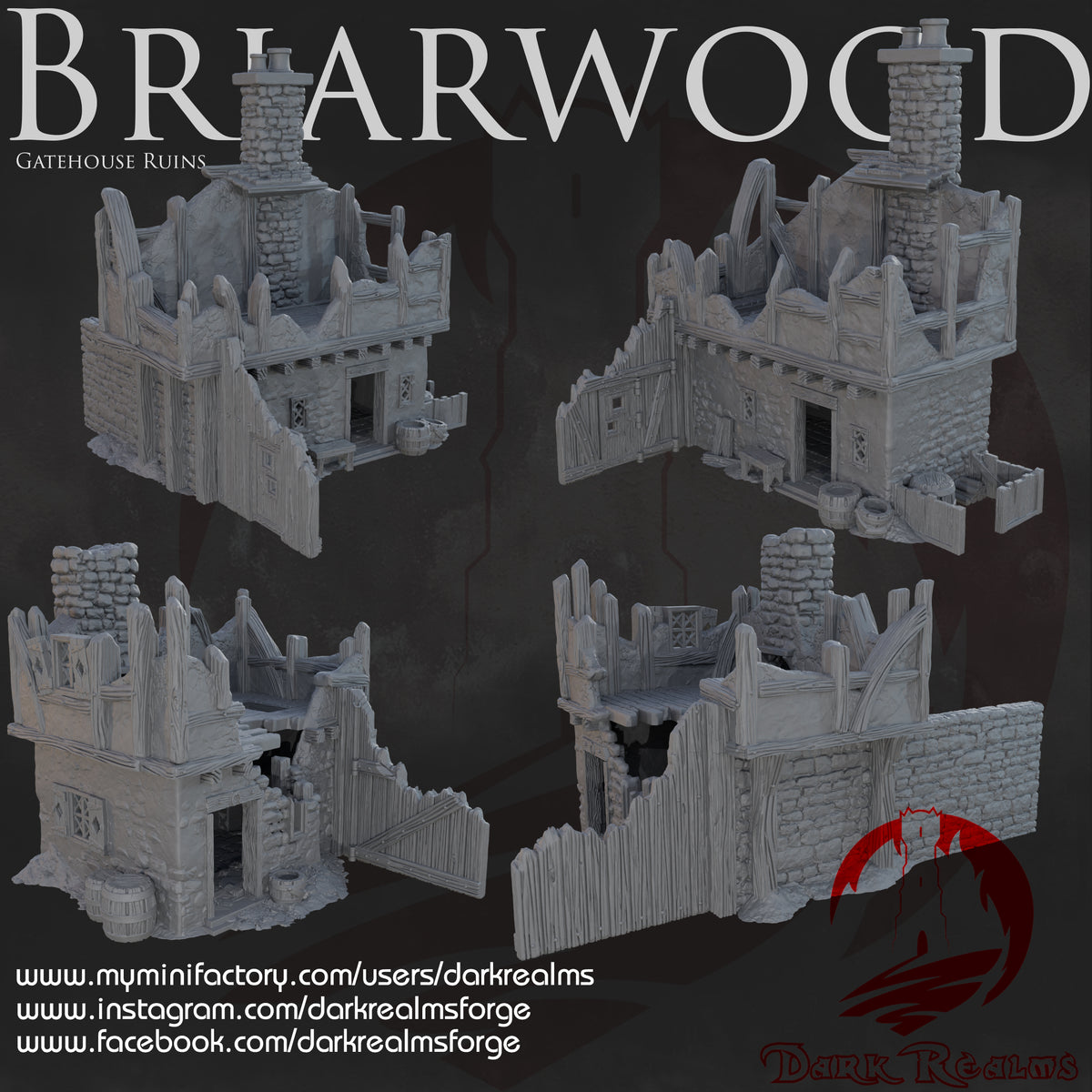 Gatehouse Ruins - Briarwood - Dark Realms Terrain Wargaming D&D DnD ...
