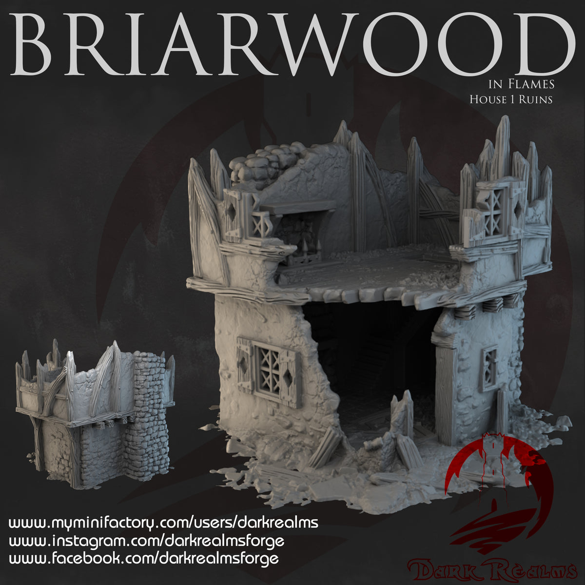 House 1 Ruins - Briarwood - Dark Realms Terrain Wargaming D&D DnD ...