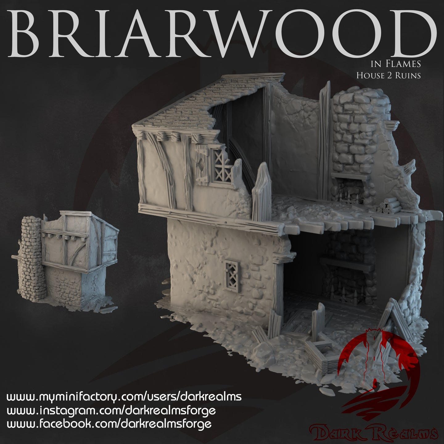 House 2 Ruins - Briarwood - Dark Realms Terrain Wargaming D&D DnD ...