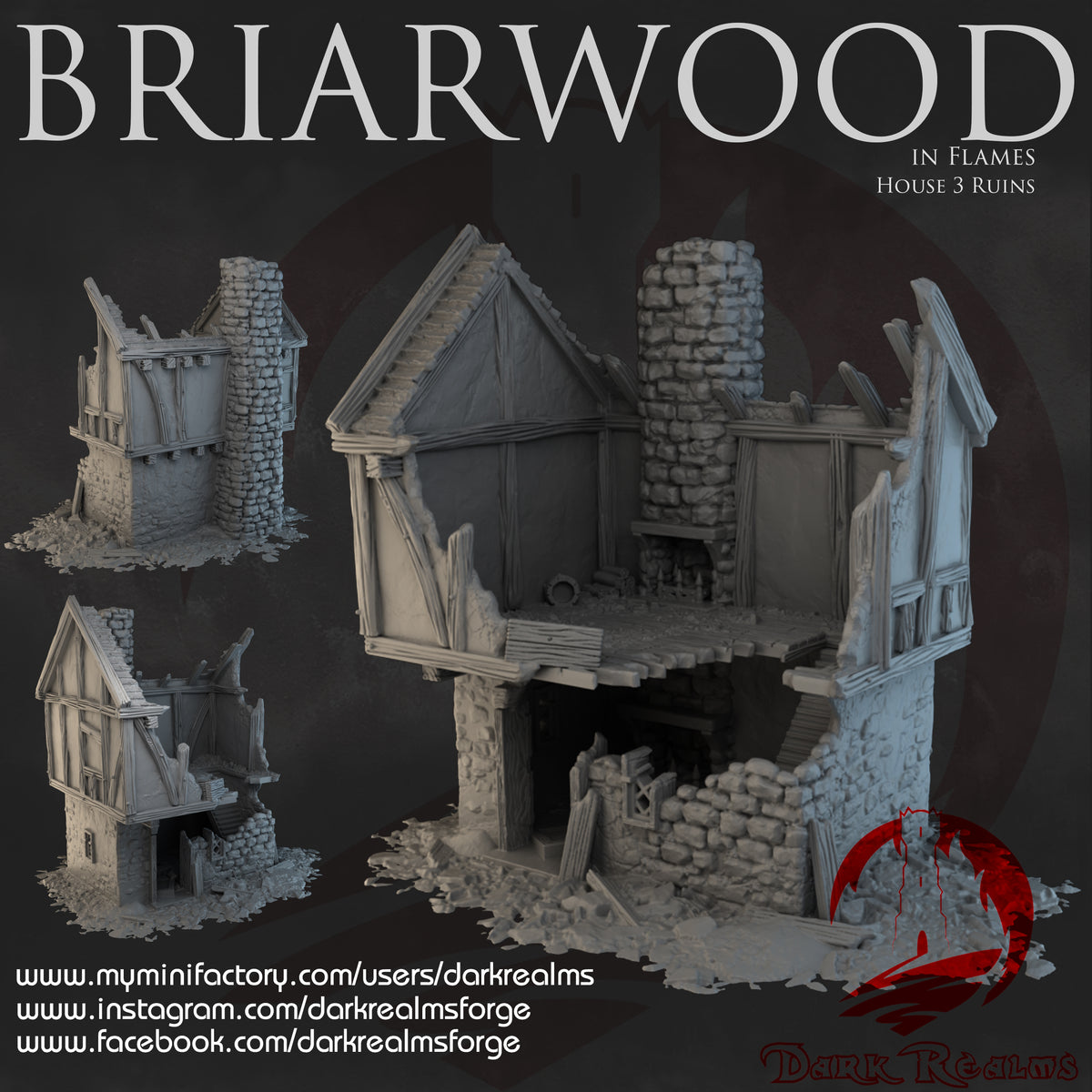 House 3 Ruins - Briarwood - Dark Realms Terrain Wargaming D&D DnD ...