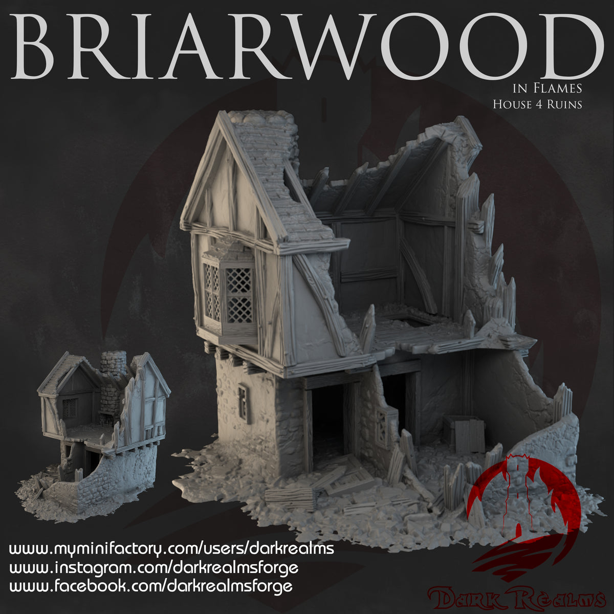 House 4 Ruins - Briarwood - Dark Realms Terrain Wargaming D&D DnD ...