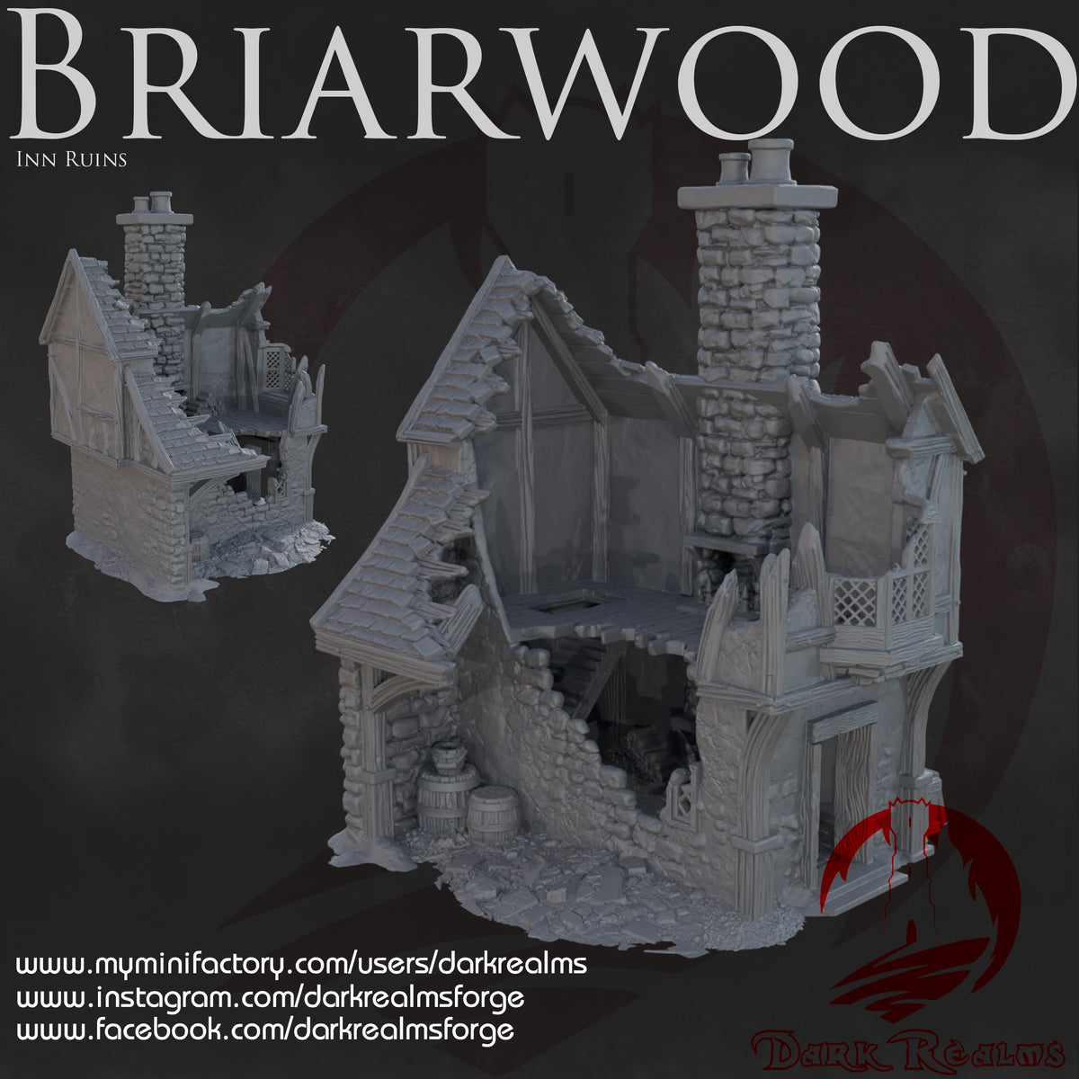 House 5 Ruin - Briarwood - Dark Realms Terrain Wargaming D&D DnD ...