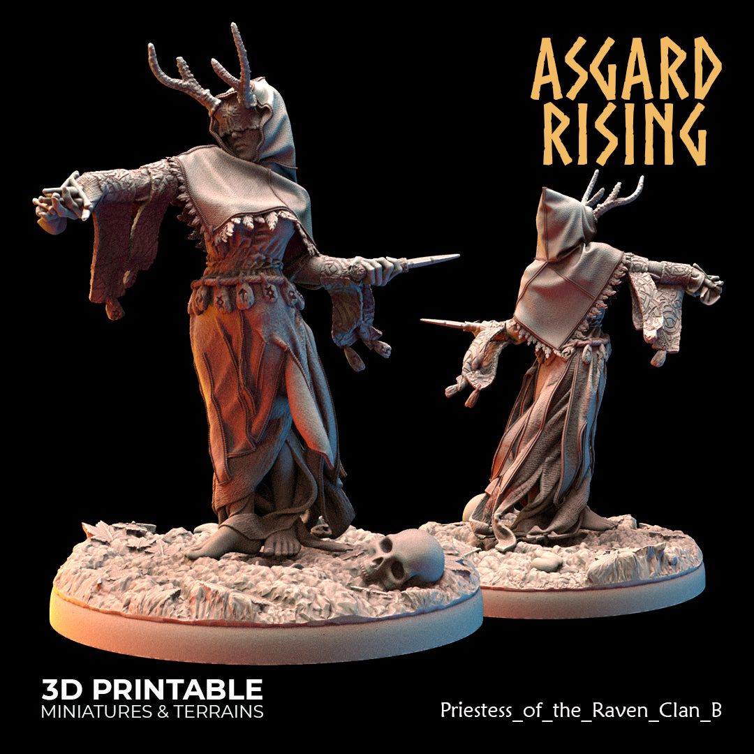 Priestess of the Raven Clan B - Asgard Rising - Wargaming D&D DnD ...