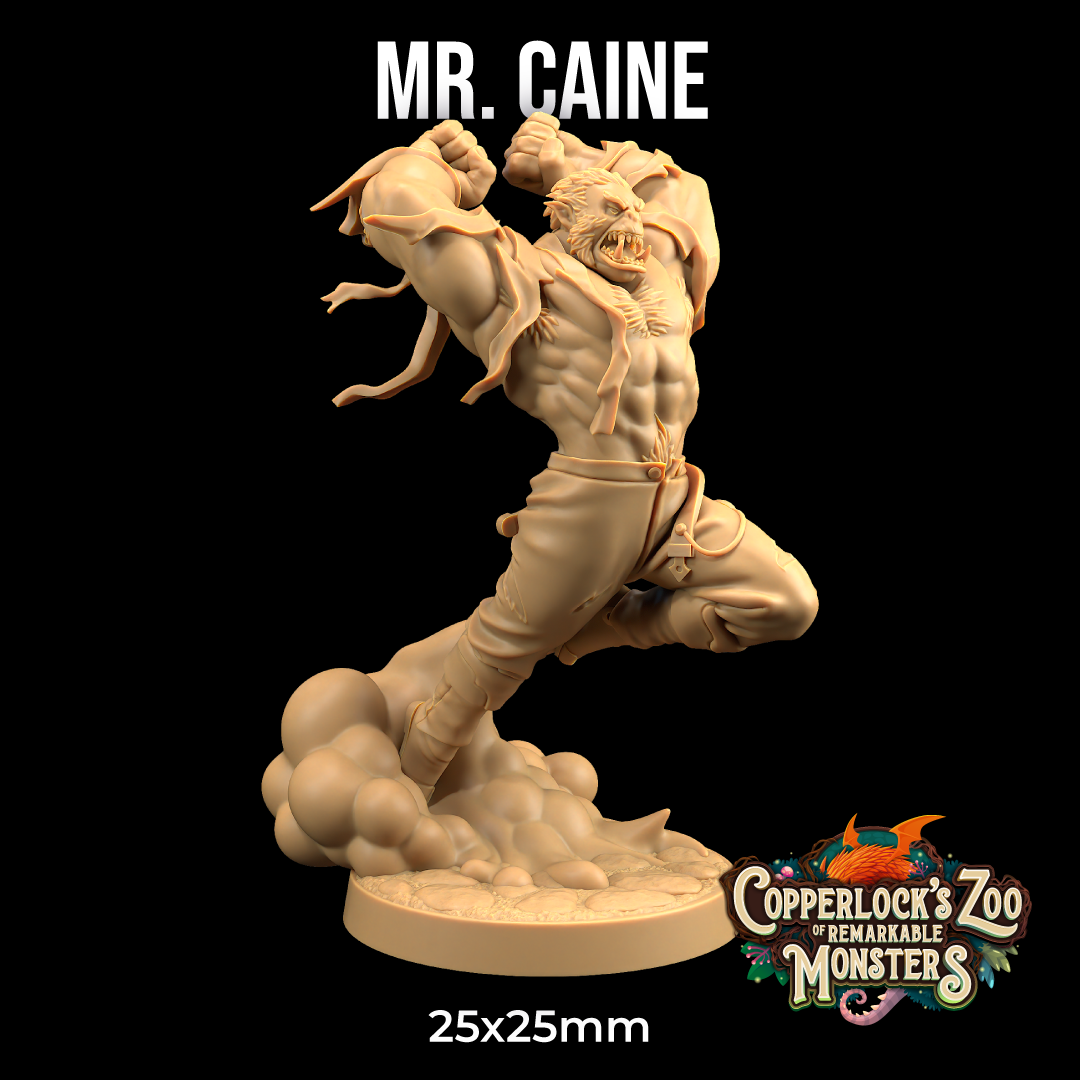 Mr. Caine - Copperlock's Zoo - Dragon Trapper's Lodge Wargaming D&D Dn ...