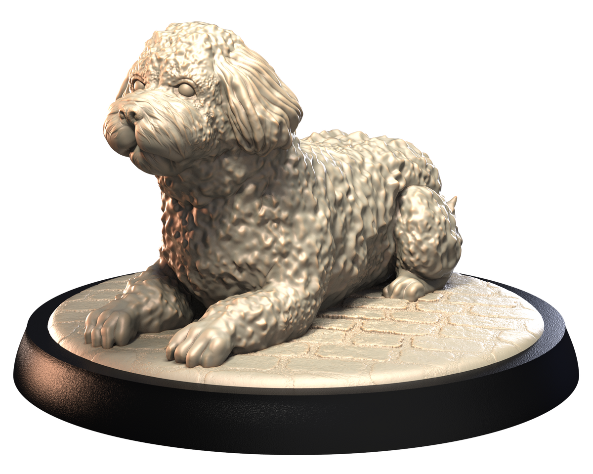 Spanish Water Dog - Dogs Vol 1 - 3D IP Studios - Terrain Wargaming D&D ...