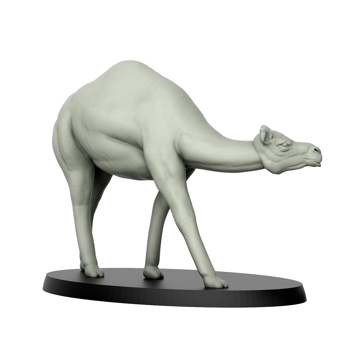 Camel Pose 2 - Wild Animals - 3D IP Studios - Terrain Wargaming D&D Dn ...