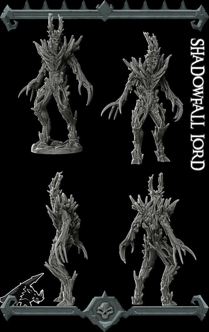 Shadowfall Lord - Wargaming Miniatures Rocket Pig Games D&D DnD ...