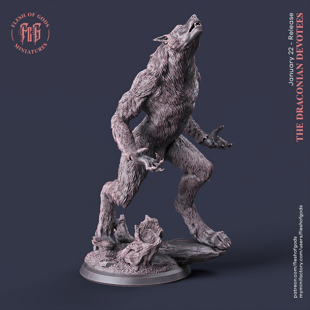 Werewolf Howling - The Draconian Devotees - Flesh of Gods Wargaming D ...