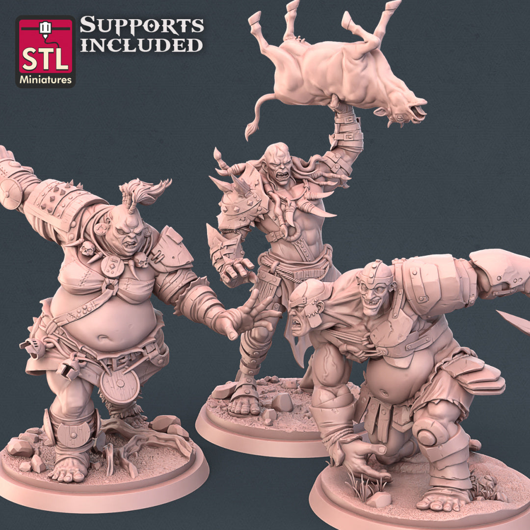 Giant Set - STL Miniatures - Wargaming D&D DnD – Dungeon Artifacts